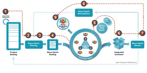 Das Nexus-Framework in 9 einfachen Schritten erklärt - Colenet GmbH